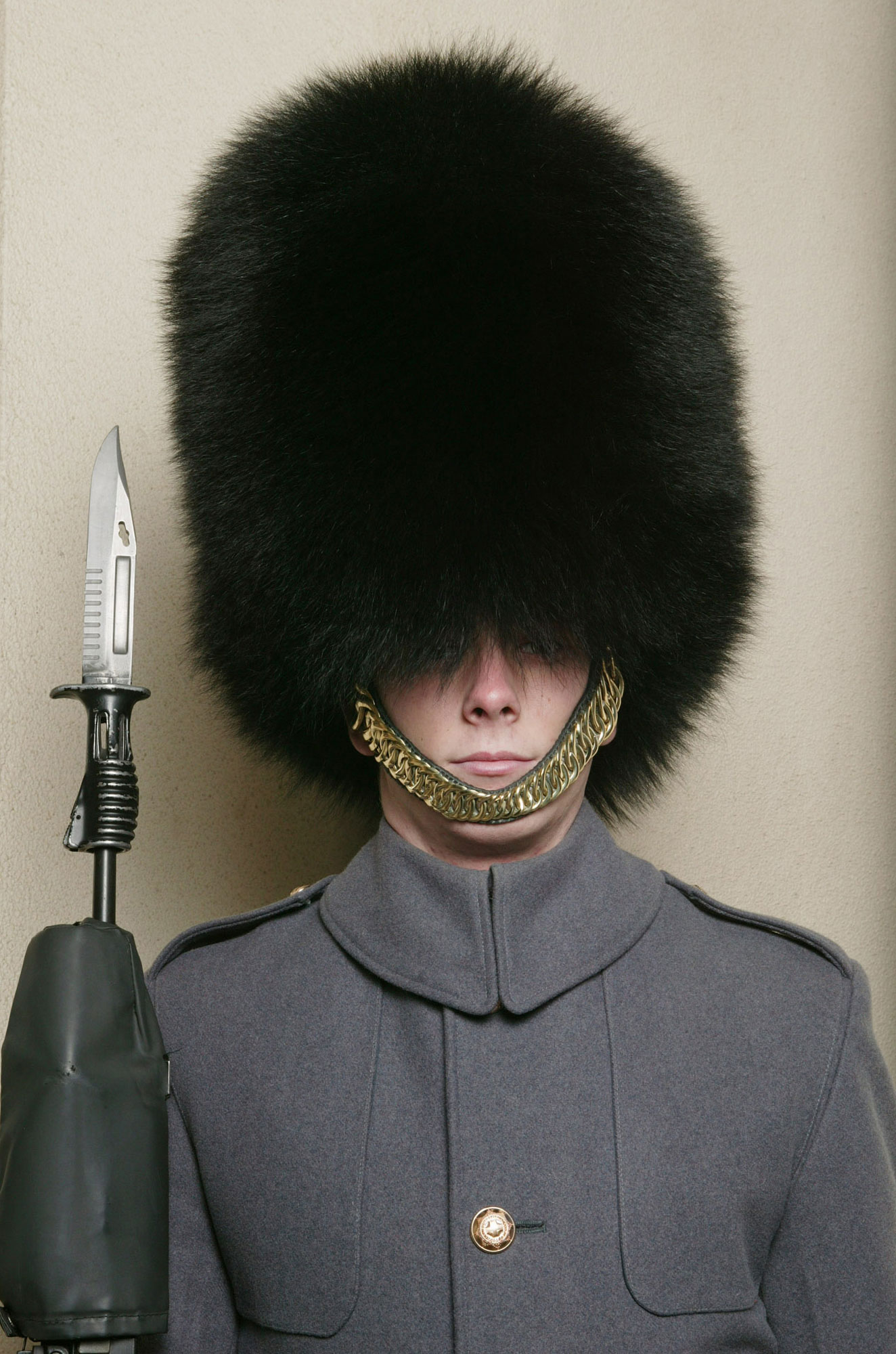 The Queens Guard - James O Jenkins